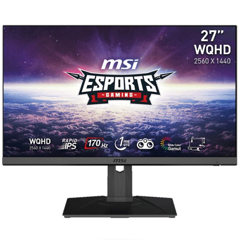 Ecran Gaming MSI G272QPF 27" WQHD IPS 170Hz Noir Au Meilleur Prix En ...