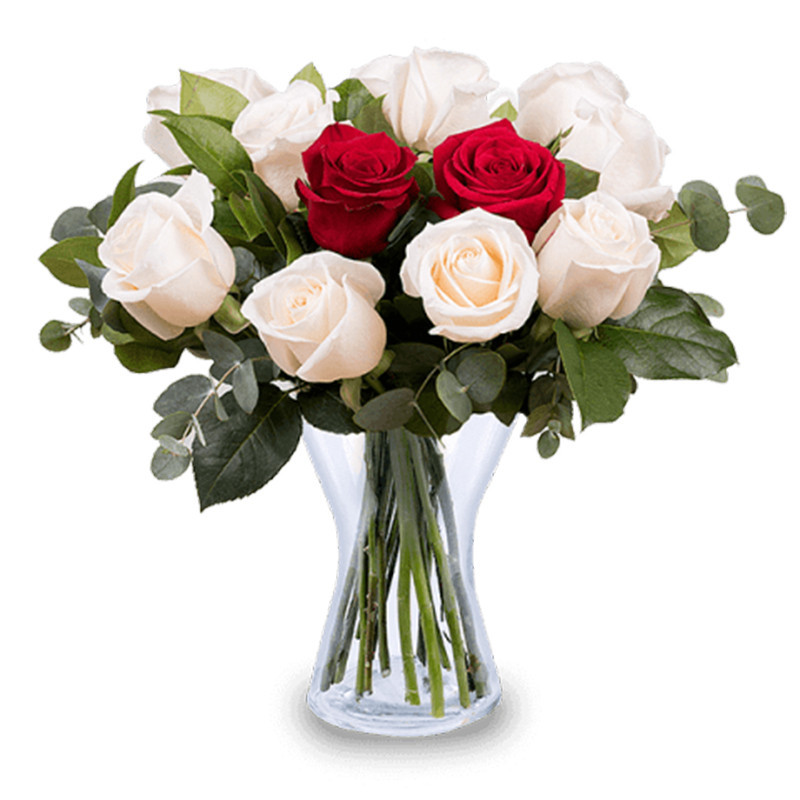 Promesse Rouge 10 Roses Rouges prix Tunisie - SpaceNet Tunisie