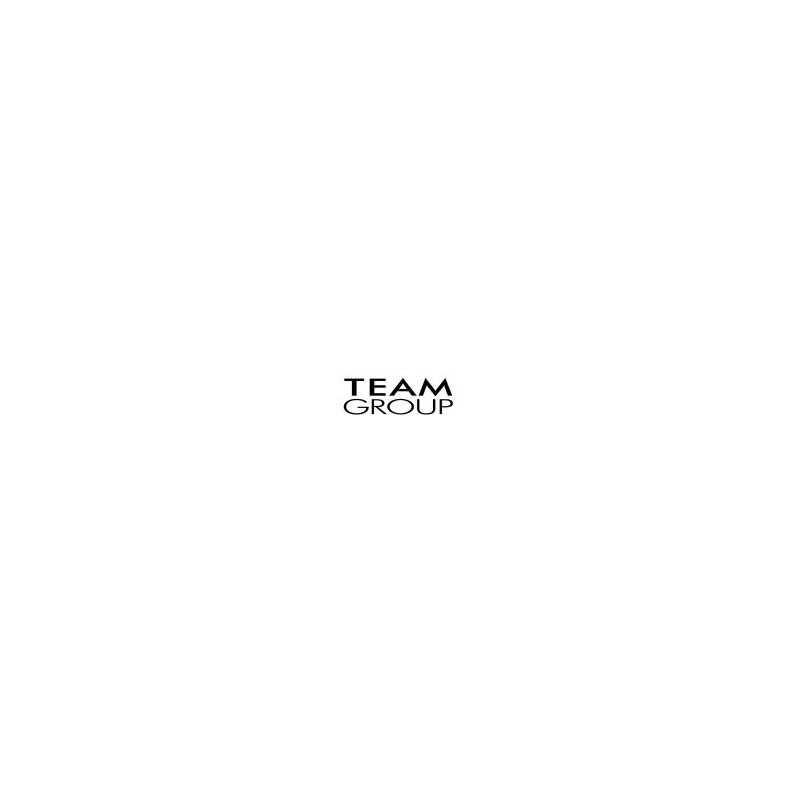 TEAM GROUP