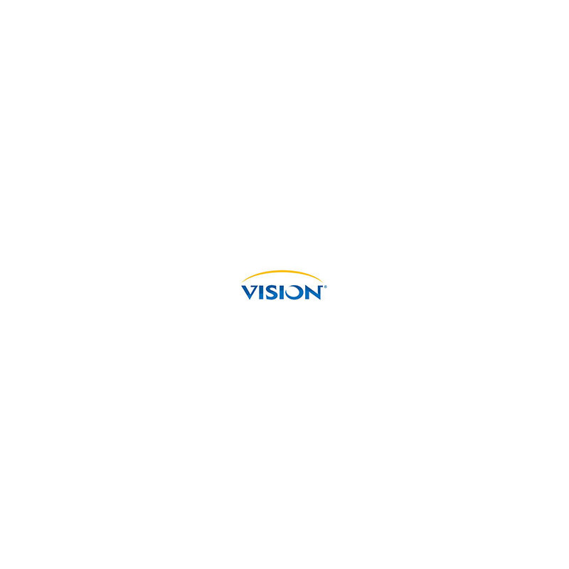 Vision
